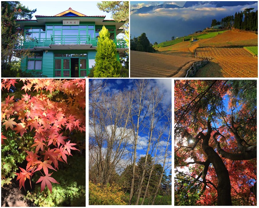 3 Days Fascinating Wuling Farm \& Hualien Taroko Gorge Tour | Taiwan ...