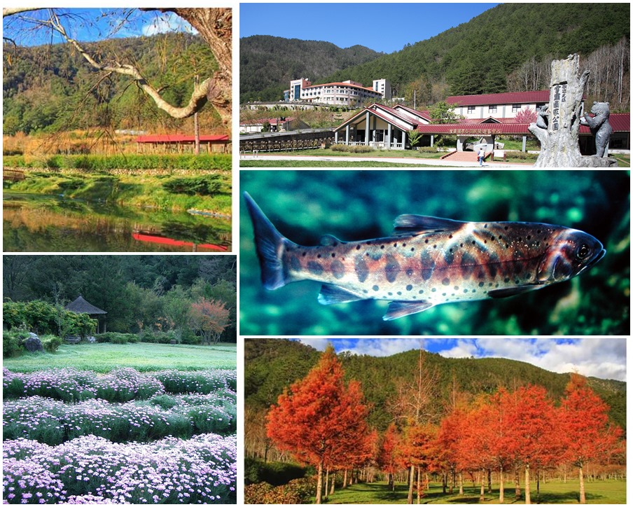 3 Days Fascinating Wuling Farm \& Hualien Taroko Gorge Tour | Taiwan ...